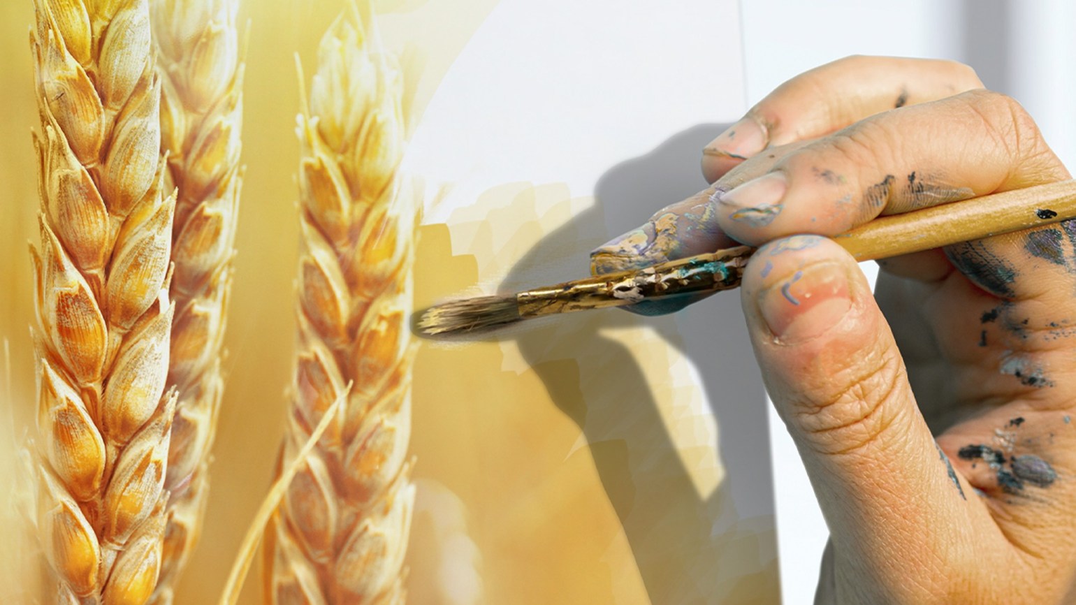 Osiris® Revy - BASF Agricultural Solutions