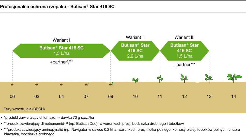 Butisan® Star 416 SC - BASF Agricultural Solutions
