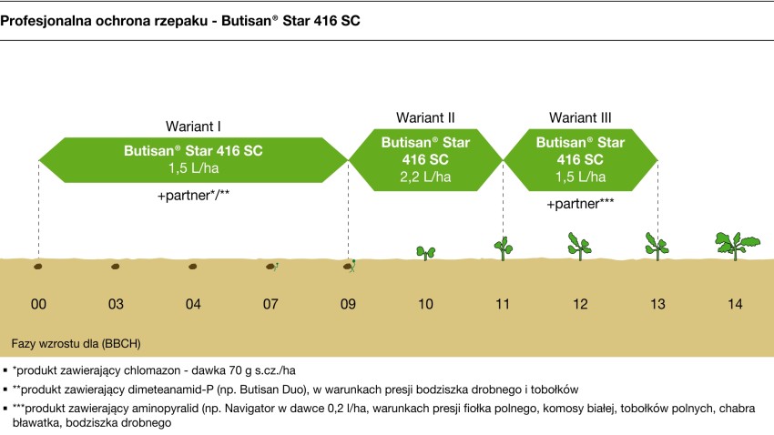 Butisan® Star 416 SC - BASF Agricultural Solutions
