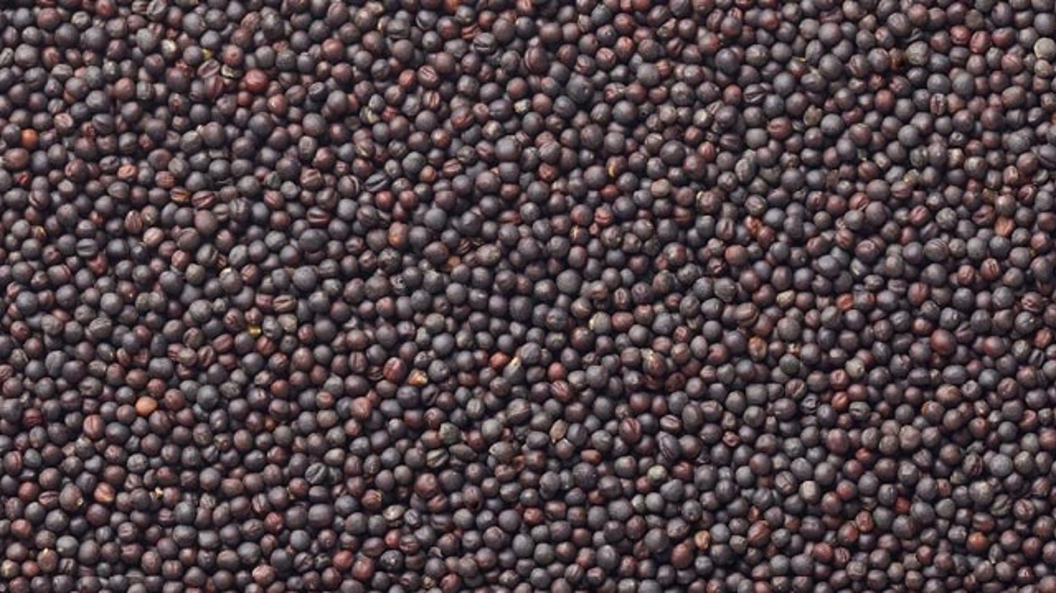 Producent środków ochrony roślin, producent nasion - BASF