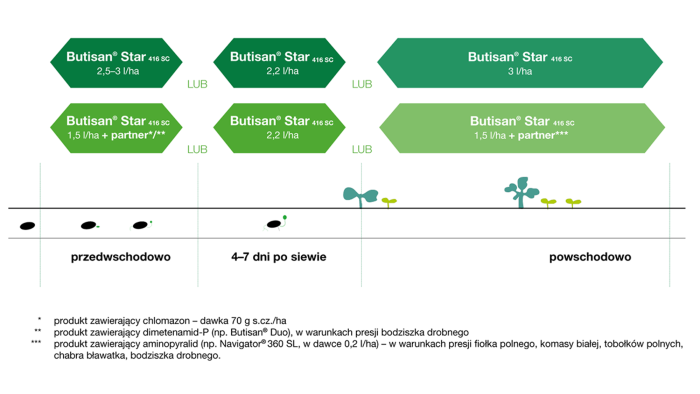 Butisan® Star 416 SC - BASF Agricultural Solutions