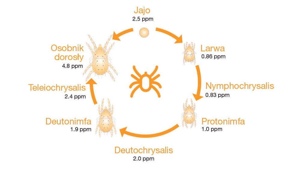 Nealta® - BASF Agricultural Solutions