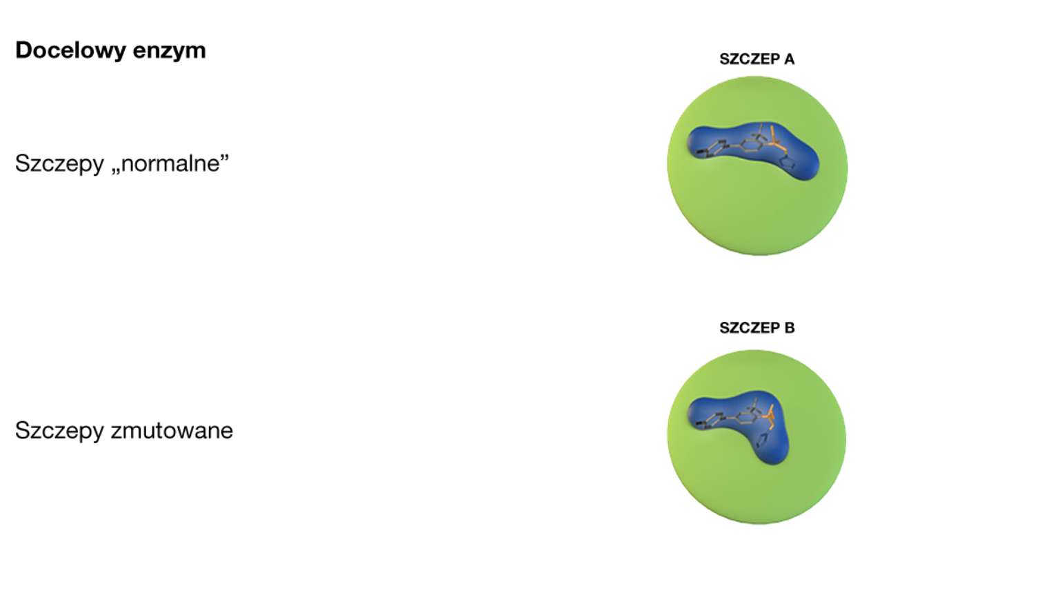 Revysky® - BASF Agricultural Solutions